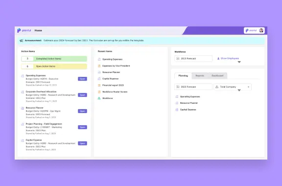 Streamline Planning, Budgeting & Forecasting - Planful