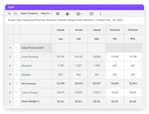 Agile Financial Planning Software - Planful